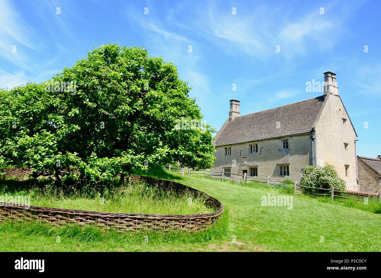Apple tree in front of Woolsthorpe Manor, Lincolnshire, home of the ...
