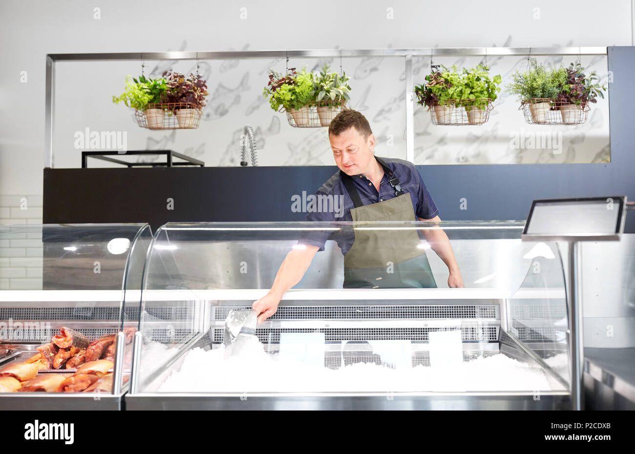 Fresh fishmonger shop equipment hi-res stock photography and images - Alamy