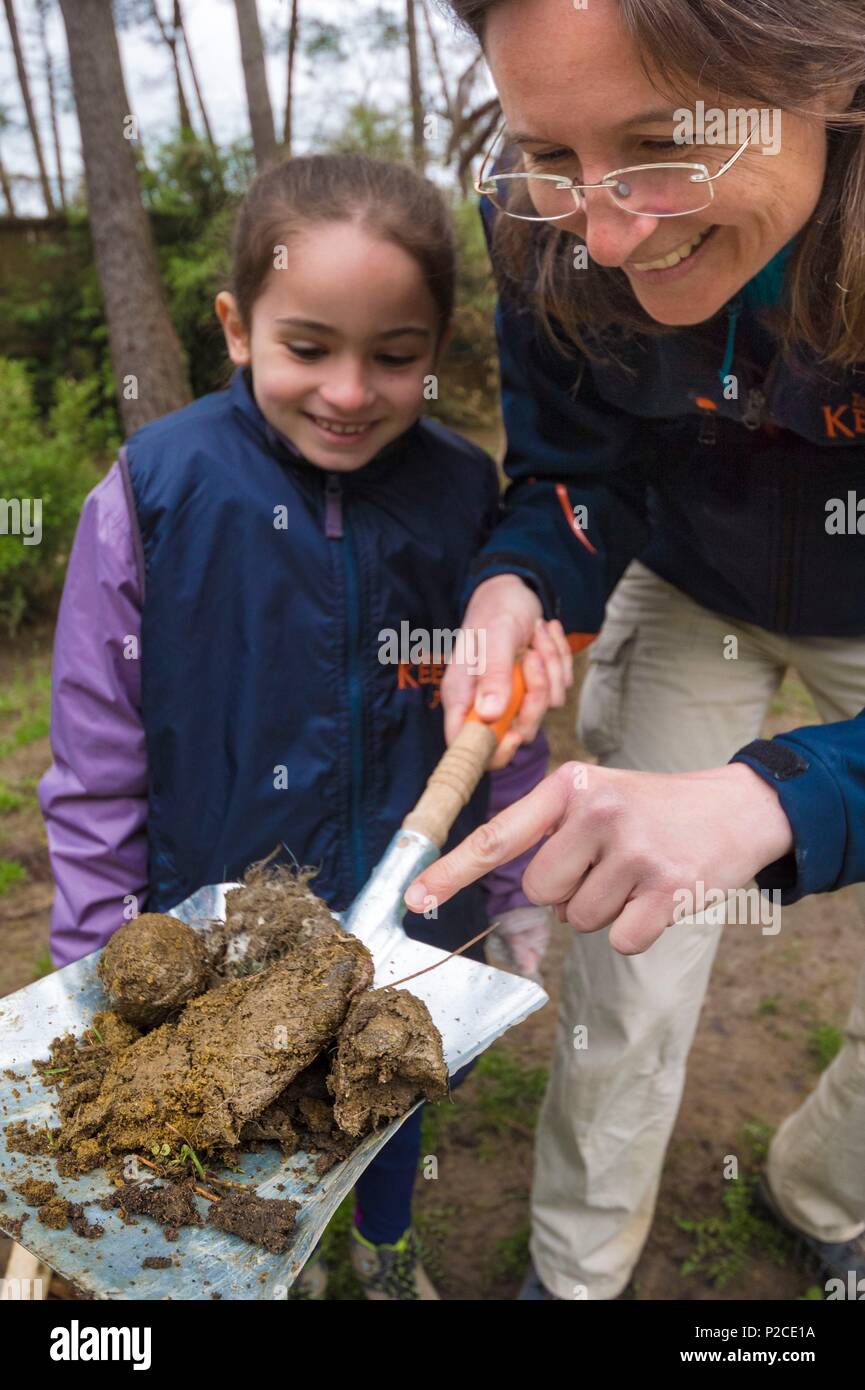 Cleaning zoo enclosure hi-res stock photography and images - Alamy