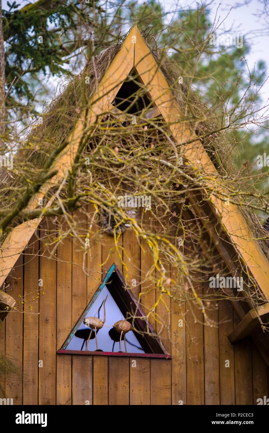 Maki mococo hi-res stock photography and images - Alamy