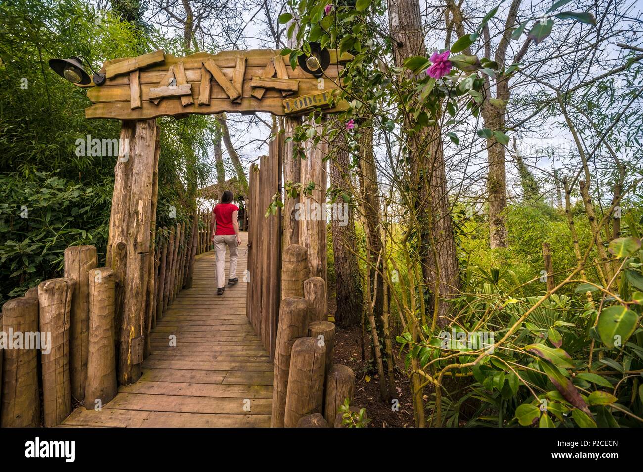 Maki mococo hi-res stock photography and images - Alamy