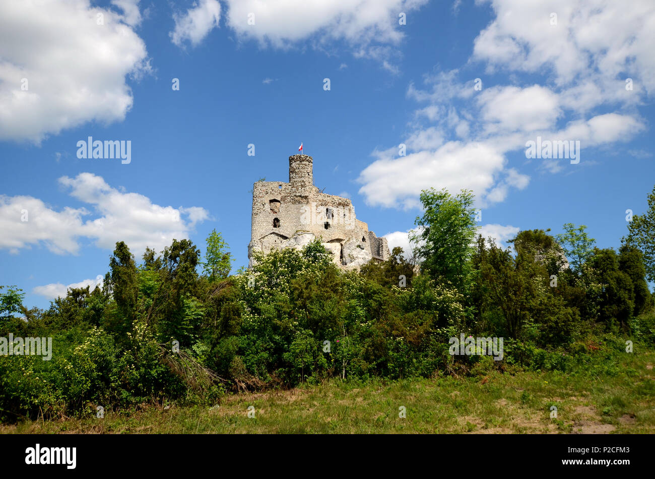 Castle Mirow in Poland Stock Photo - Alamy