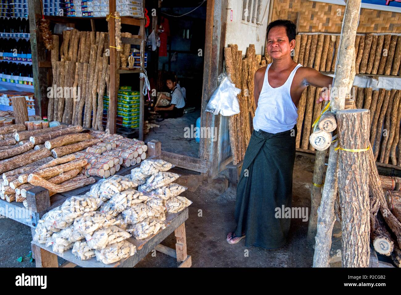 Myanmar, Mandalay Division, Pakkoku, selling tanaka Stock Photo - Alamy