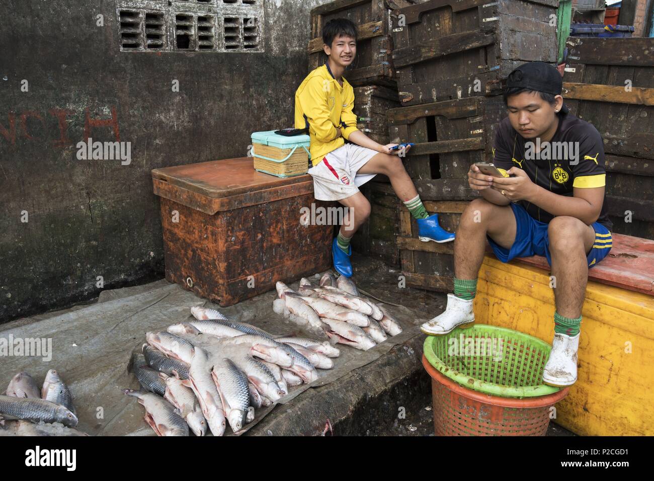 Myanmar, Yangon, the wholesale fish market Stock Photo - Alamy