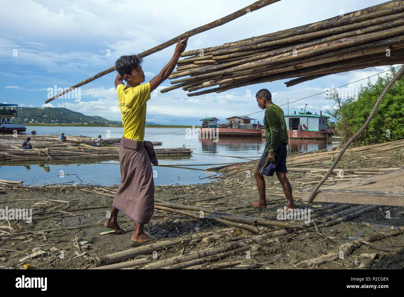 Myanmar, Mandalay, the jetty, unloading bamboo Stock Photo - Alamy