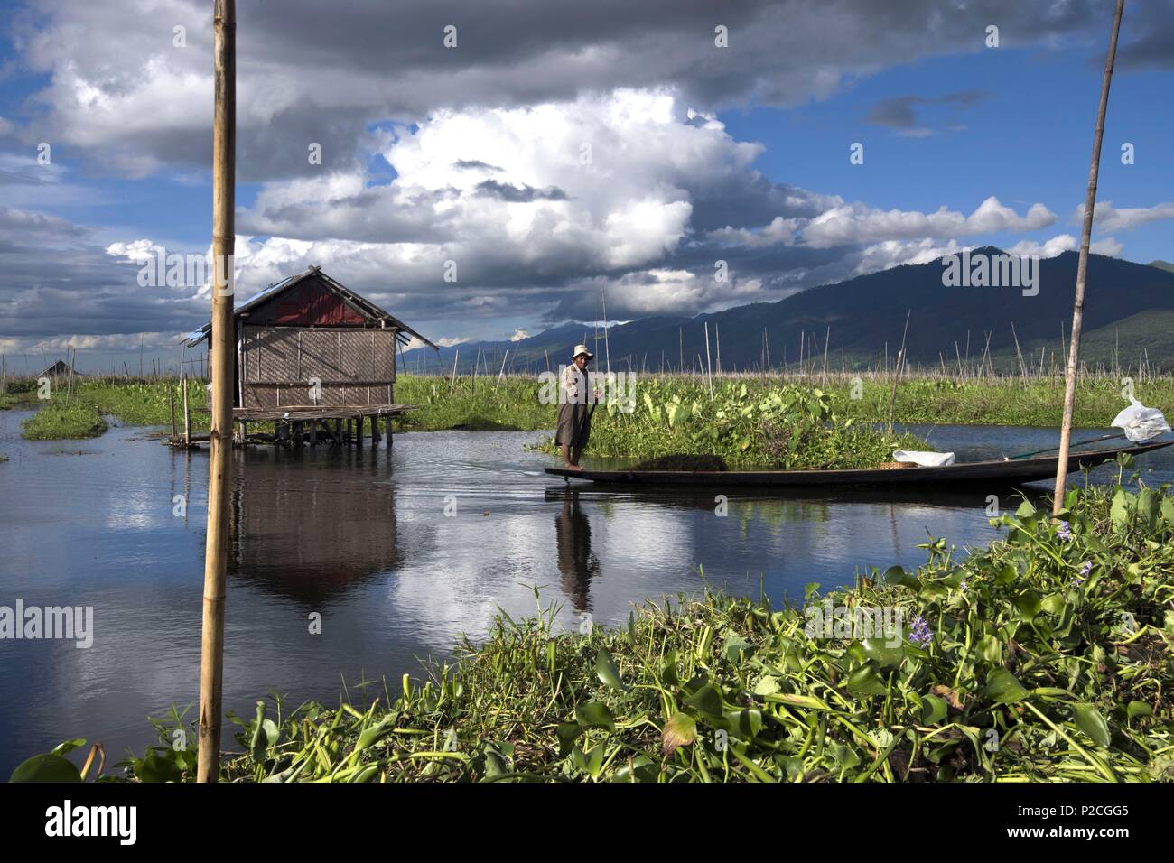 Myanmar, Shan State, Taunggyi District, Inle Lake, floating gardens ...