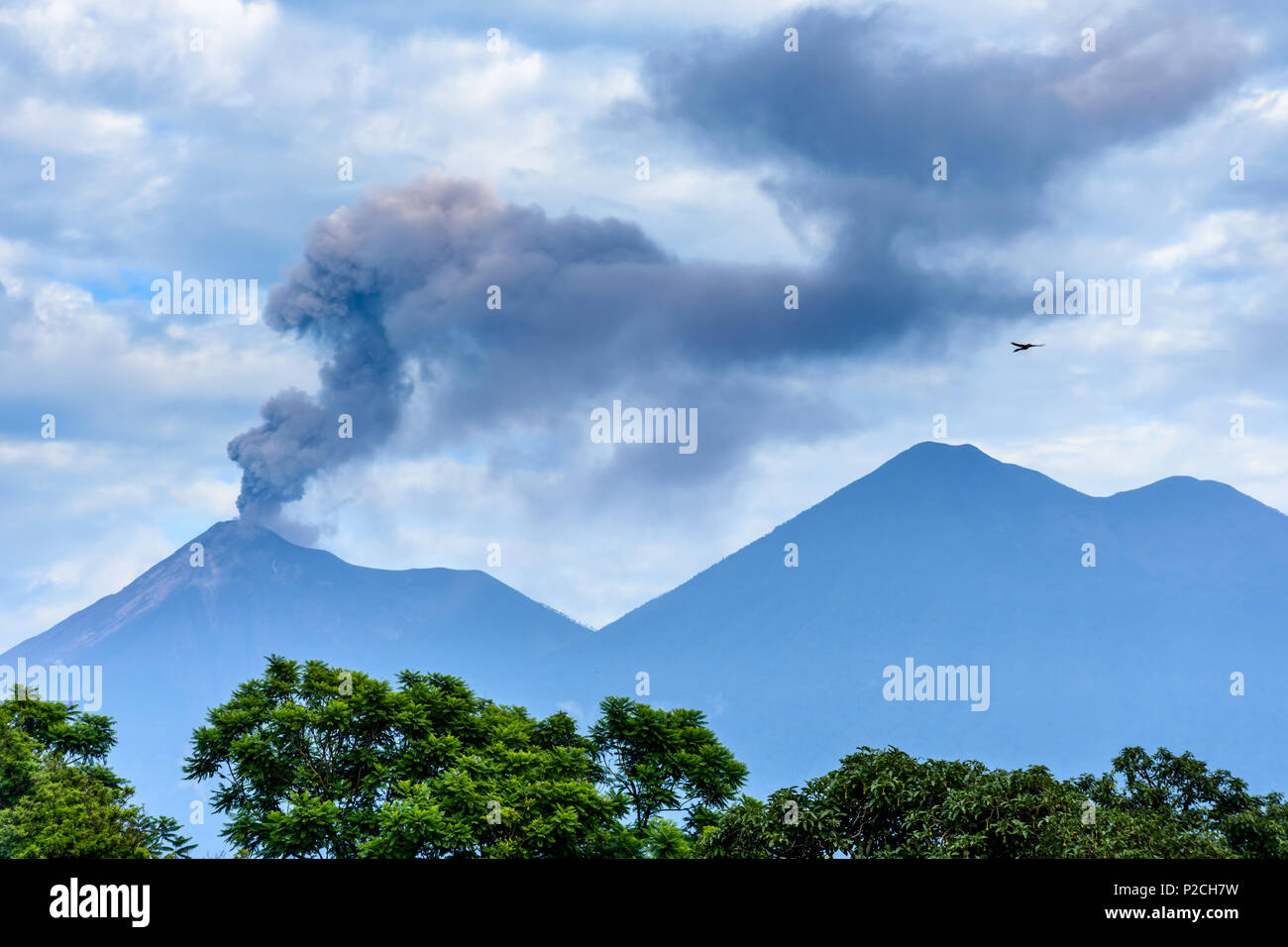 Fuego volcano erupts next to Acatenango volcano on June 12, 2018 near ...