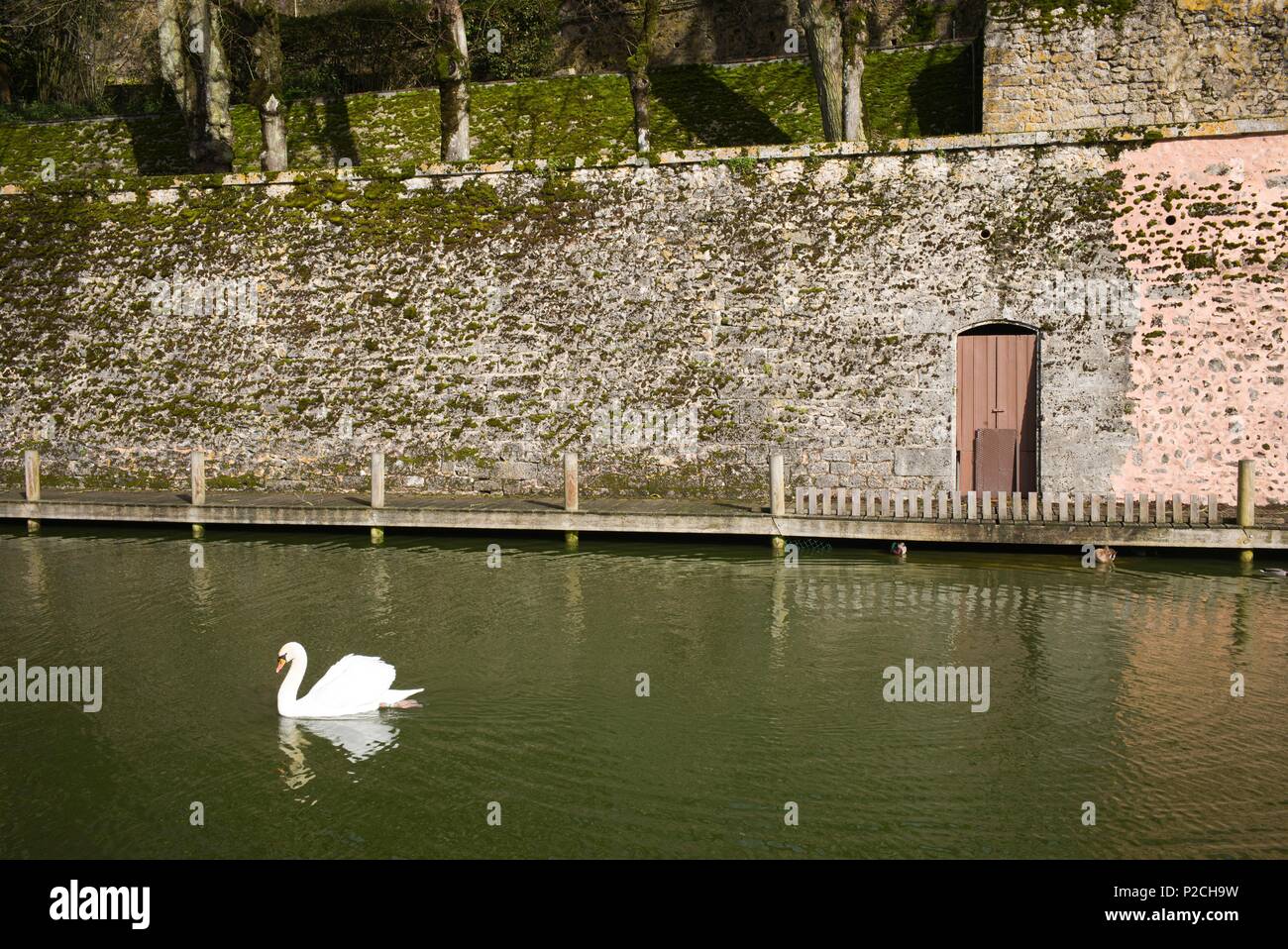 France, Orne, Le Perche, Belleme, the moats of the old castle Stock ...