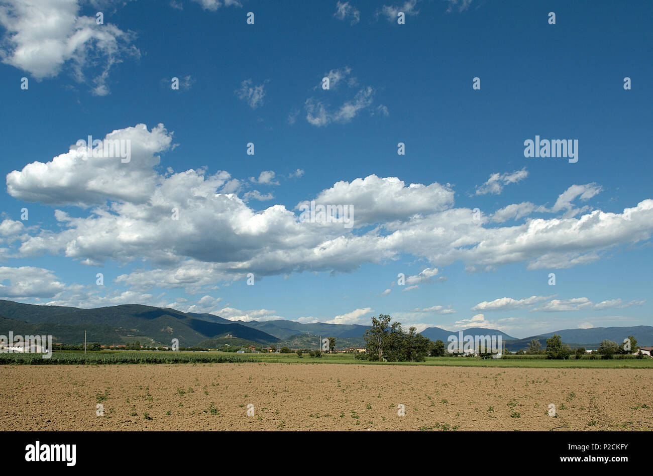 Castegnato (Bs),Franciacorta,Lombardy,Italy,a landscape of the ...