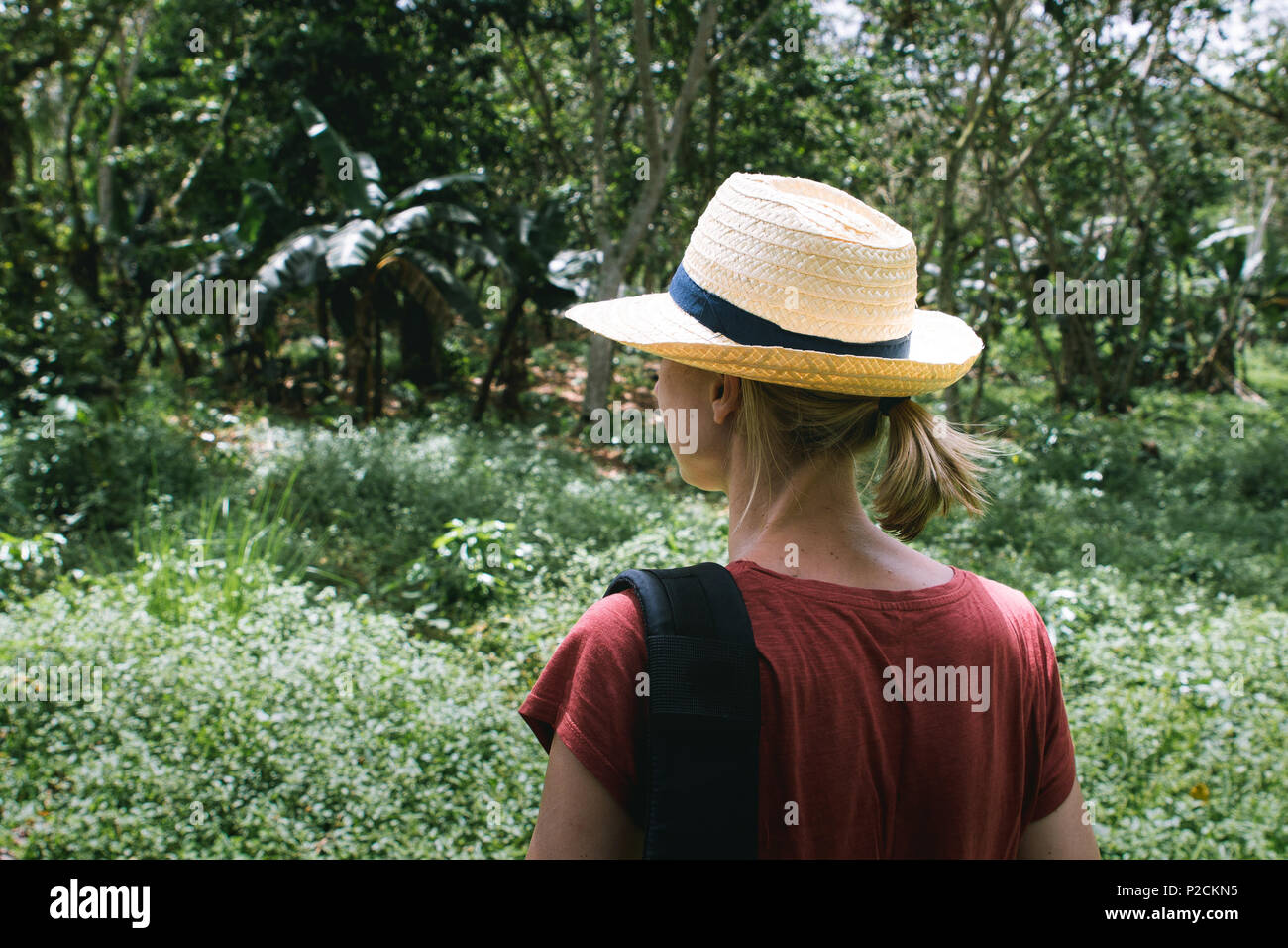 Jungle explorer woman hi-res stock photography and images - Alamy