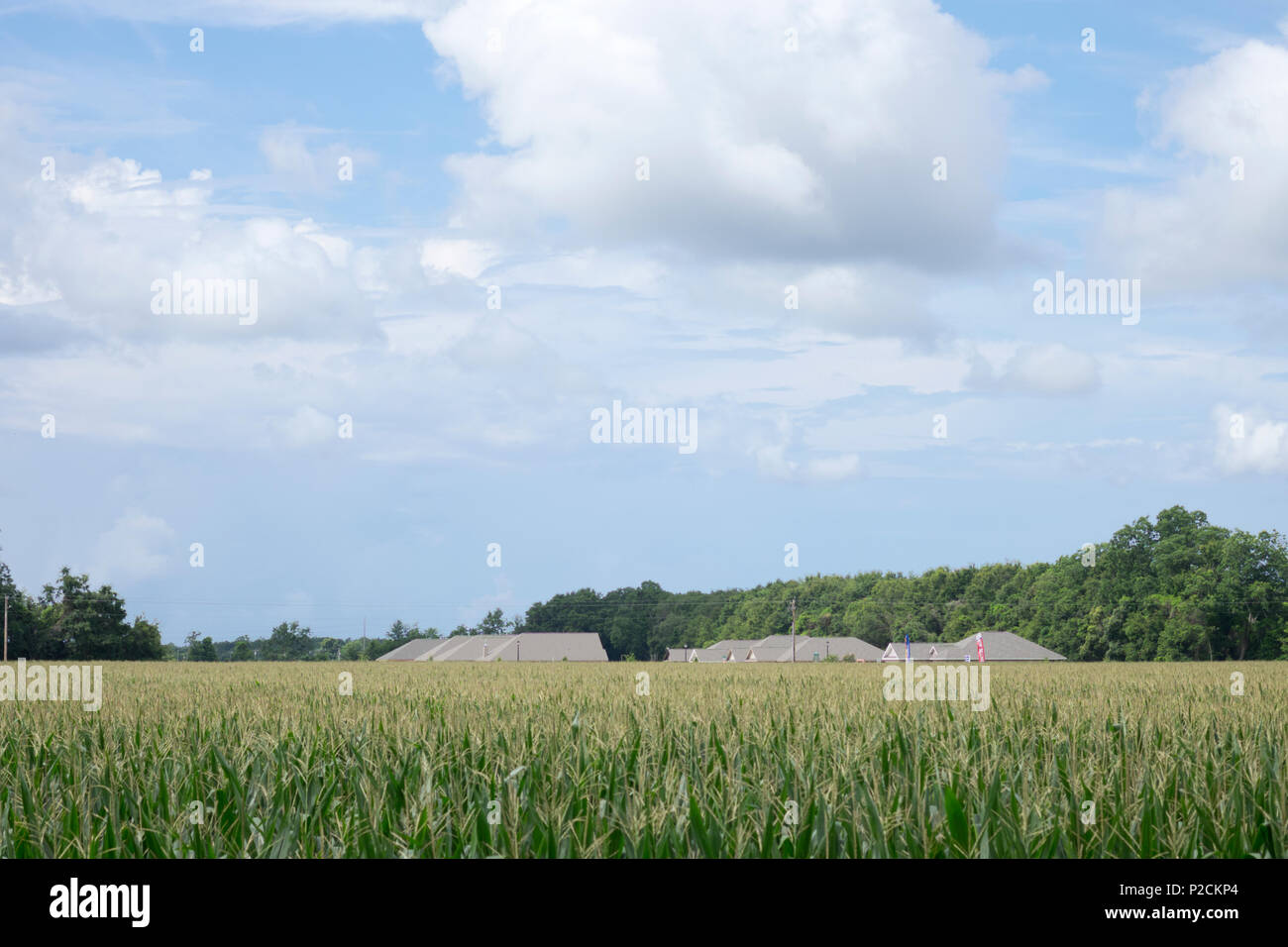 Foley field hi-res stock photography and images - Alamy