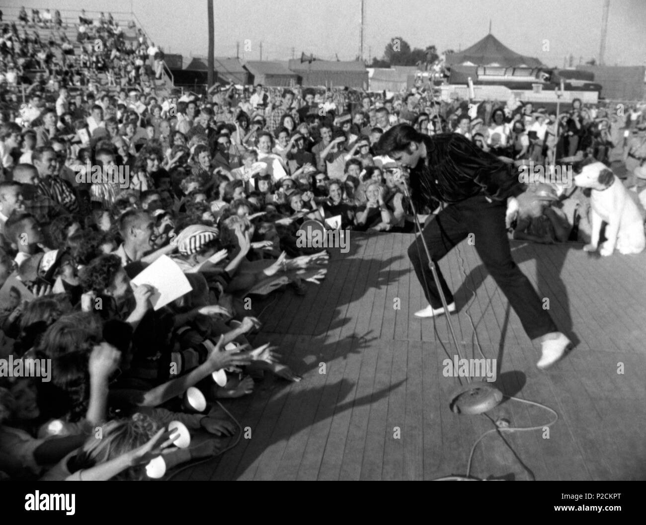 The American singer Elvis Presley performing for a large crowd of fans ...