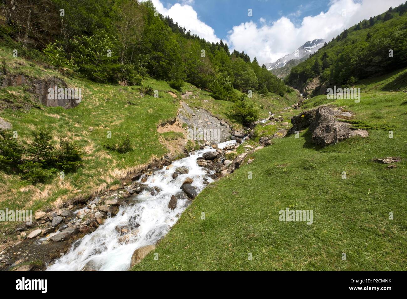 Stram hi-res stock photography and images - Alamy