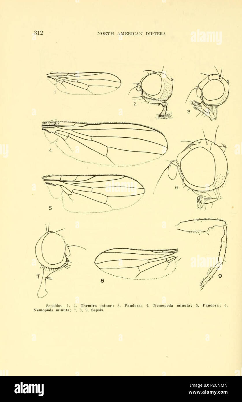 . English: Charles Howard Curran , 1934 The families and genera of ...