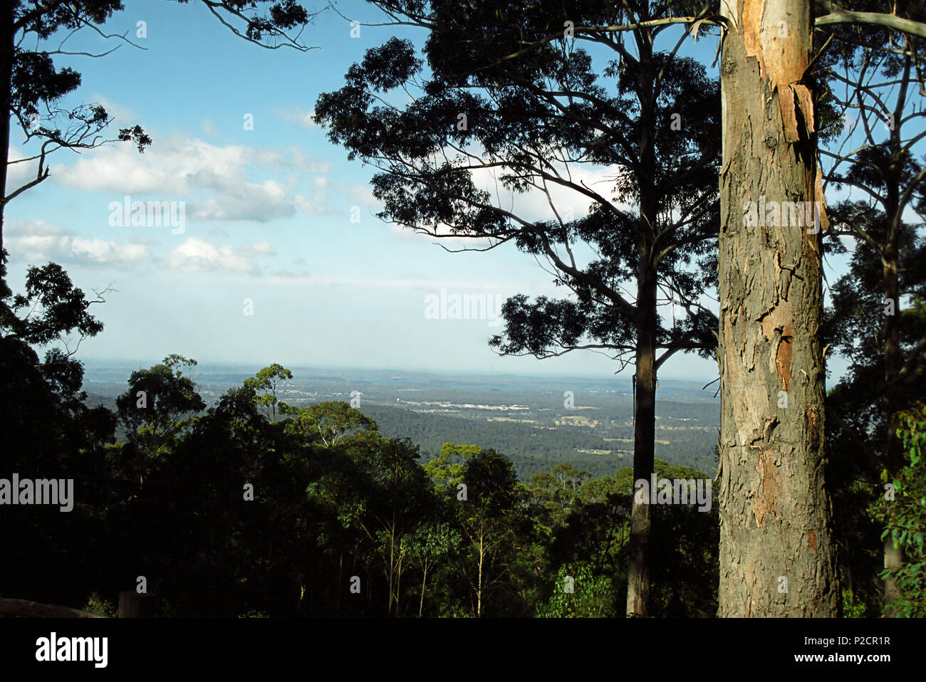 Muirs Lookout, Olney State Forest, Watagan Mountains, Central Coast ...
