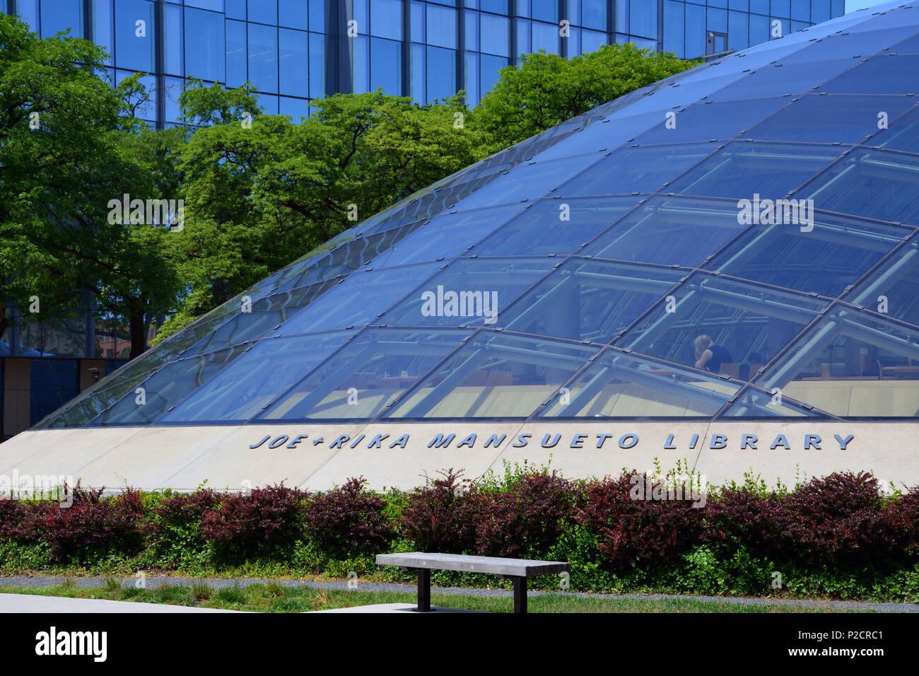 In contrast to the dark Regenstein Library, University of Chicago's ...
