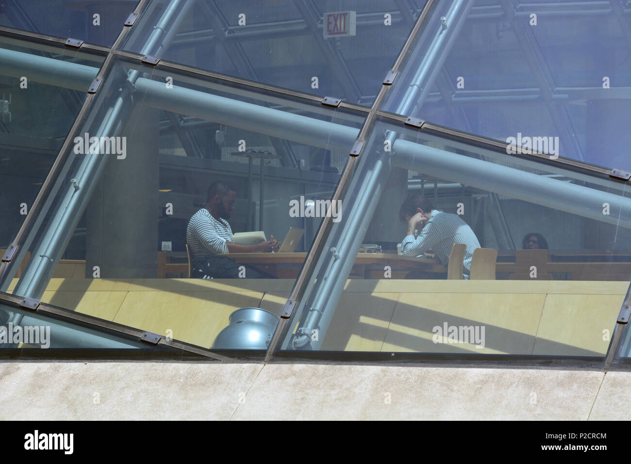 In contrast to the dark Regenstein Library, University of Chicago's ...