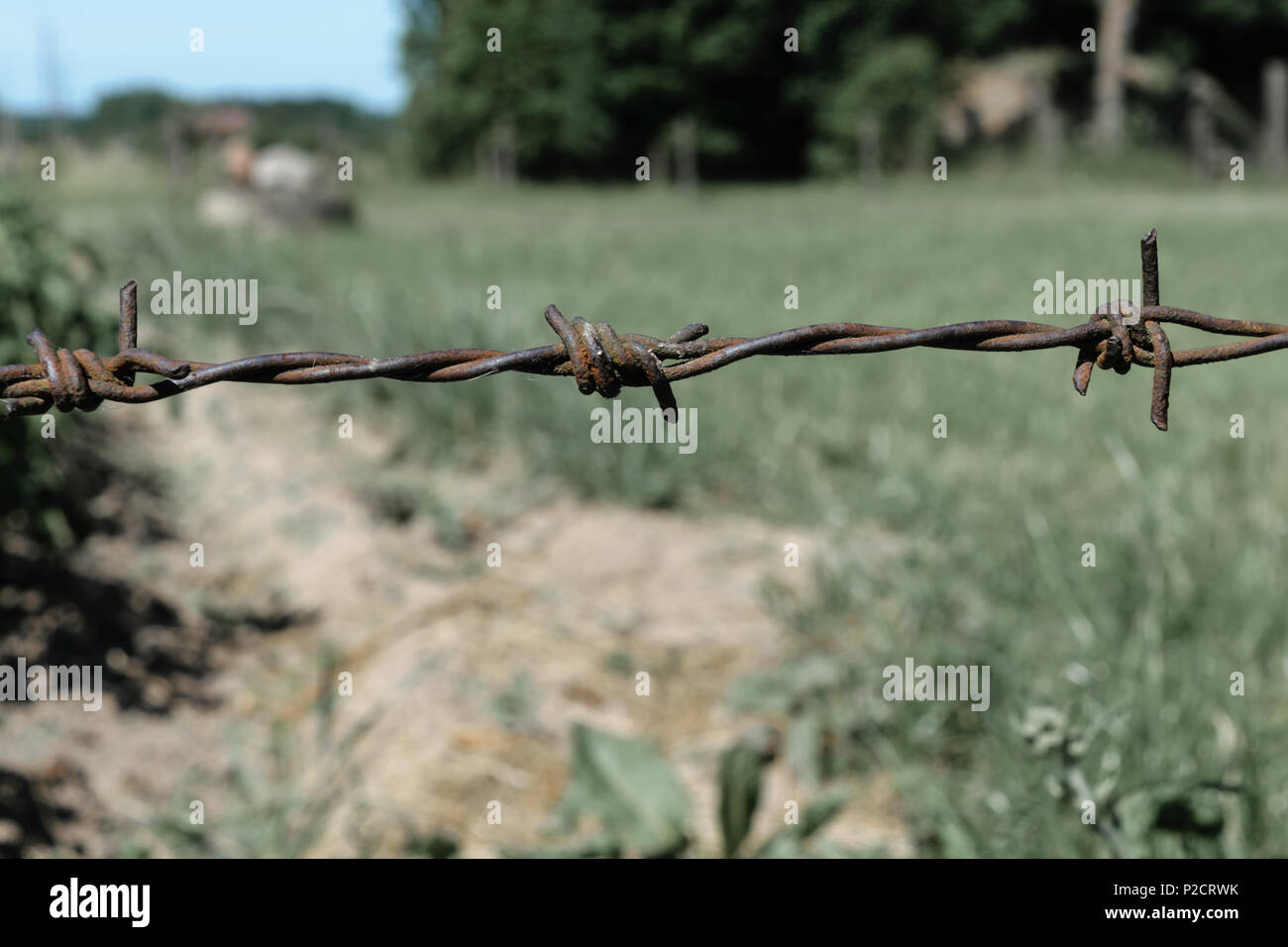 Rusty barbed wire fence in green meadow background in the farm Stock ...