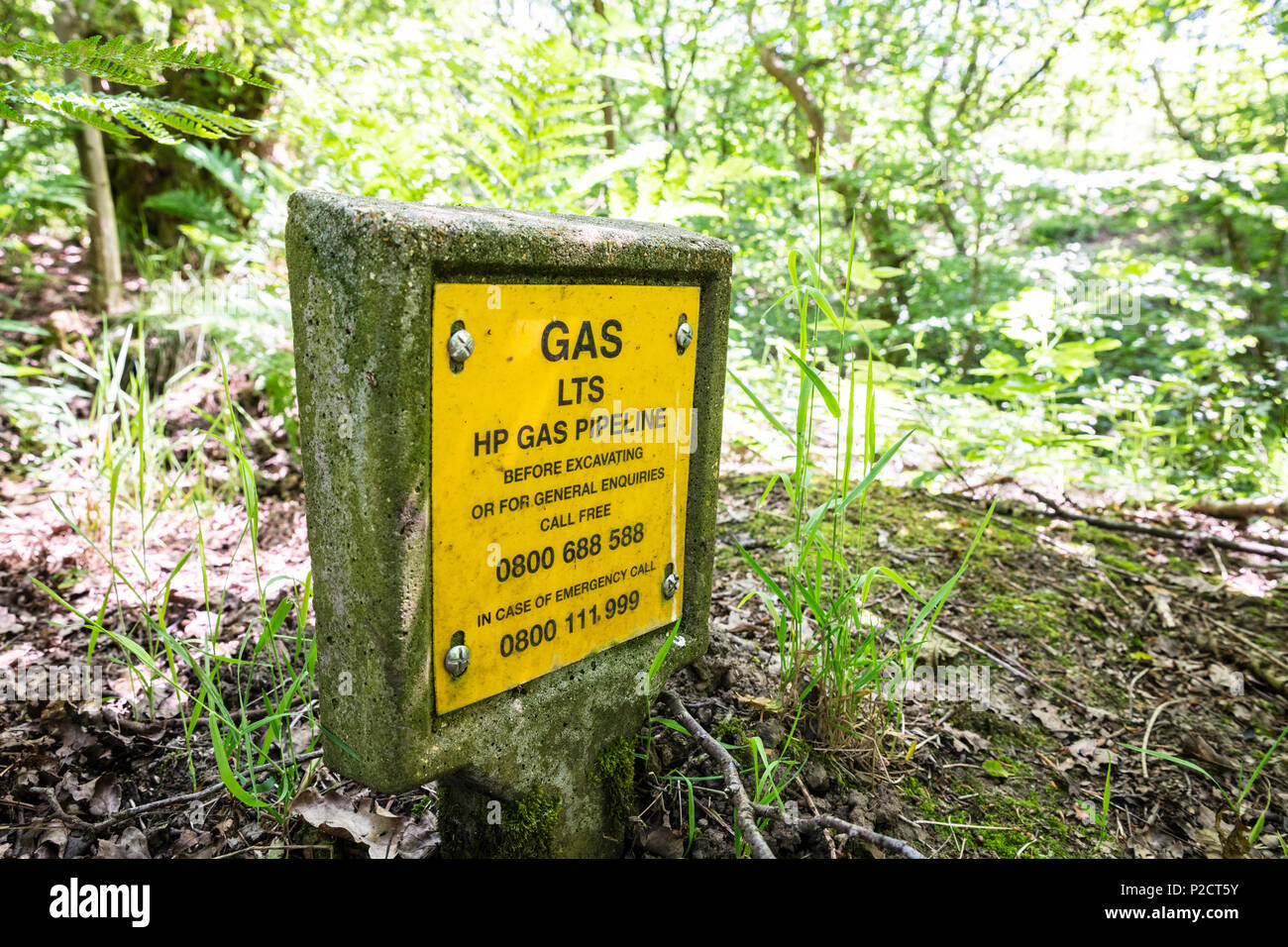 LTS High Pressure Gas Pipeline sign in greenbelt woodland Stock Photo ...