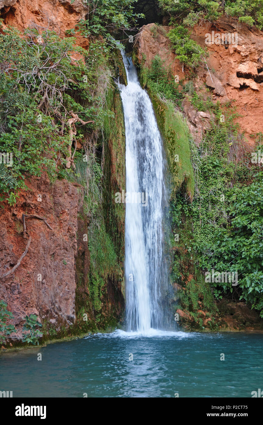 Vigarios fall hi-res stock photography and images - Alamy