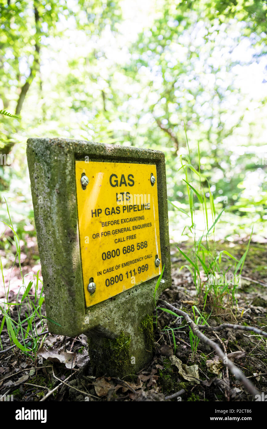 LTS High Pressure Gas Pipeline sign in greenbelt woodland Stock Photo ...