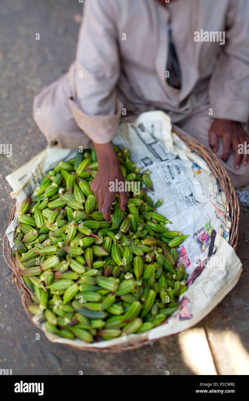 Egypt, the market of Drao vendor of gombos Stock Photo - Alamy