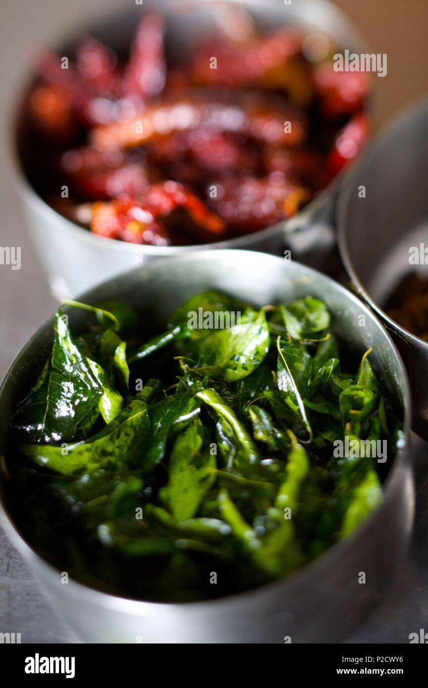 India, Kerala state, Kochi Stock Photo - Alamy