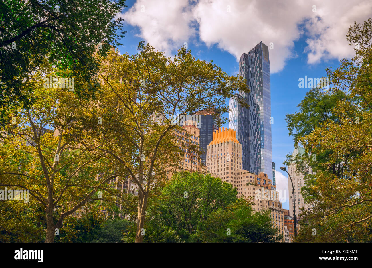 New york trees hi-res stock photography and images - Alamy