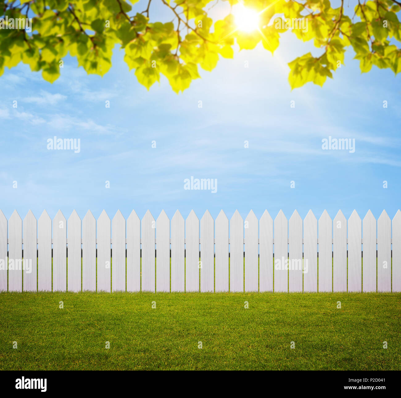 Back Yard Background