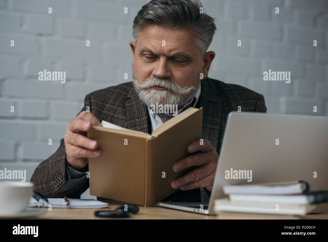 Serious senior writer reading hi-res stock photography and images - Alamy