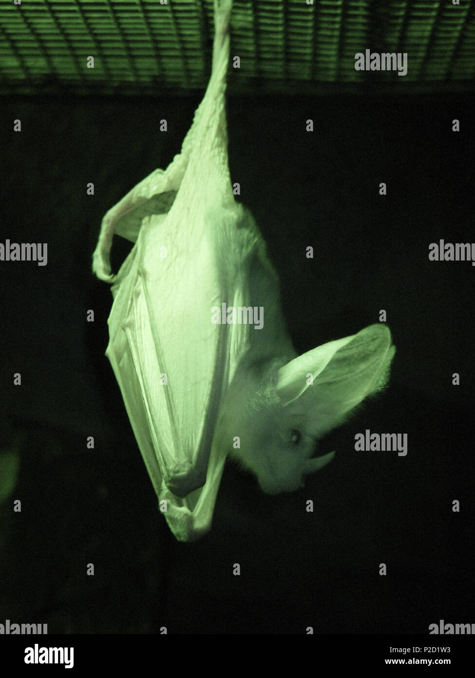 21 july 2002 hi-res stock photography and images - Alamy