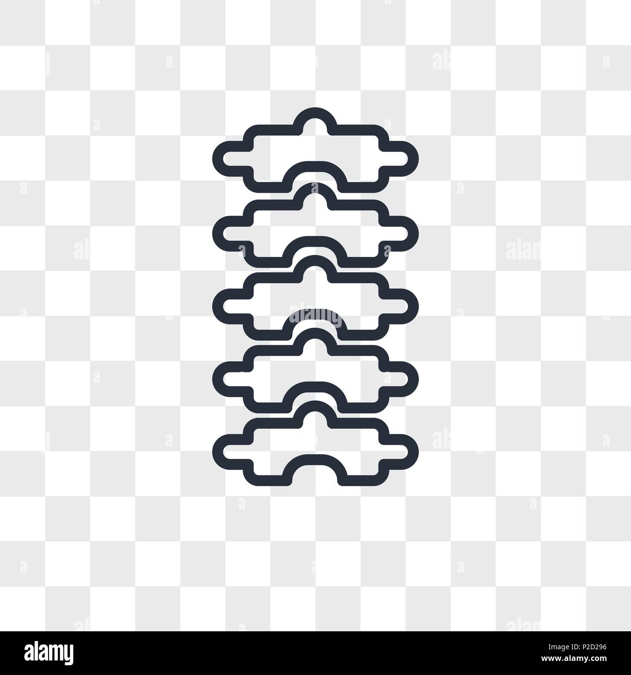 chiropractor vector icon isolated on transparent background ...