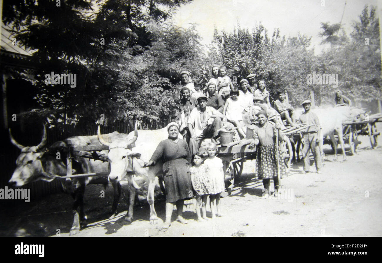 Tarani hi-res stock photography and images - Alamy