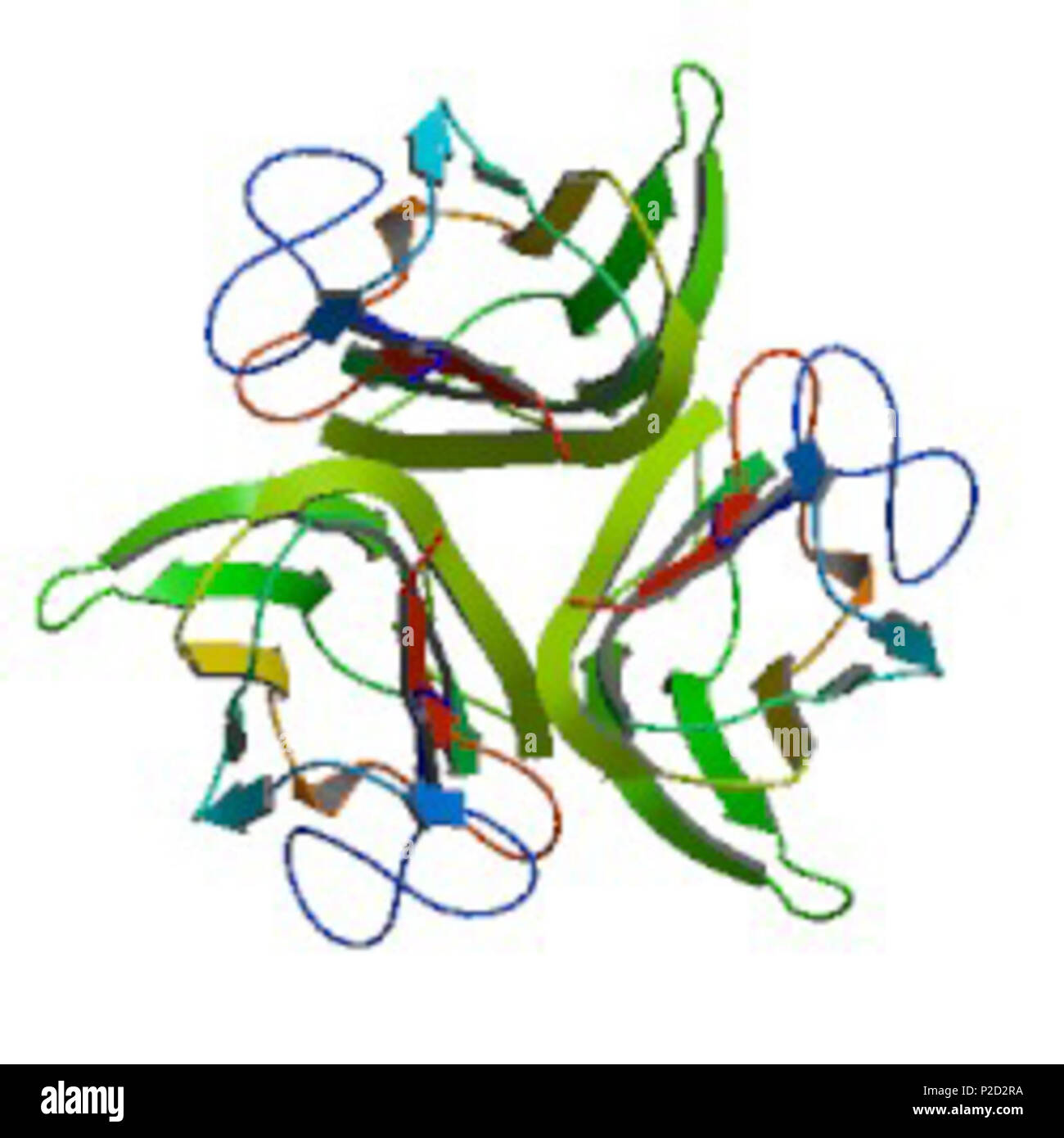 Tnf alpha hi-res stock photography and images - Alamy