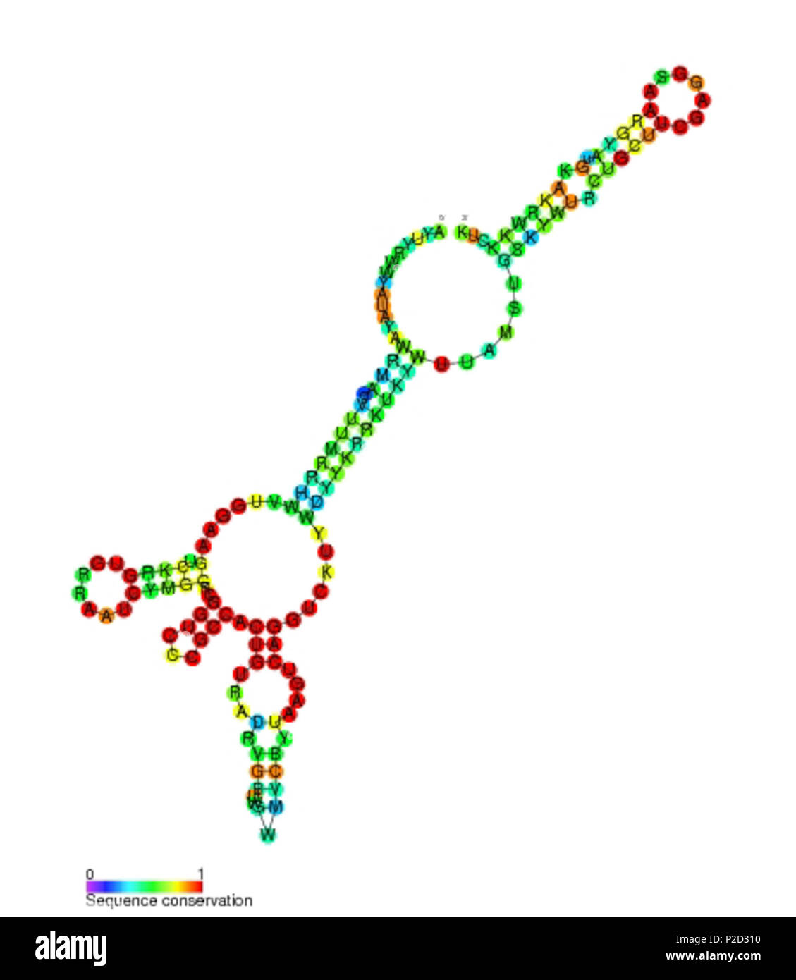 . Secondary structure and sequence conservation image for AdoCbl ...