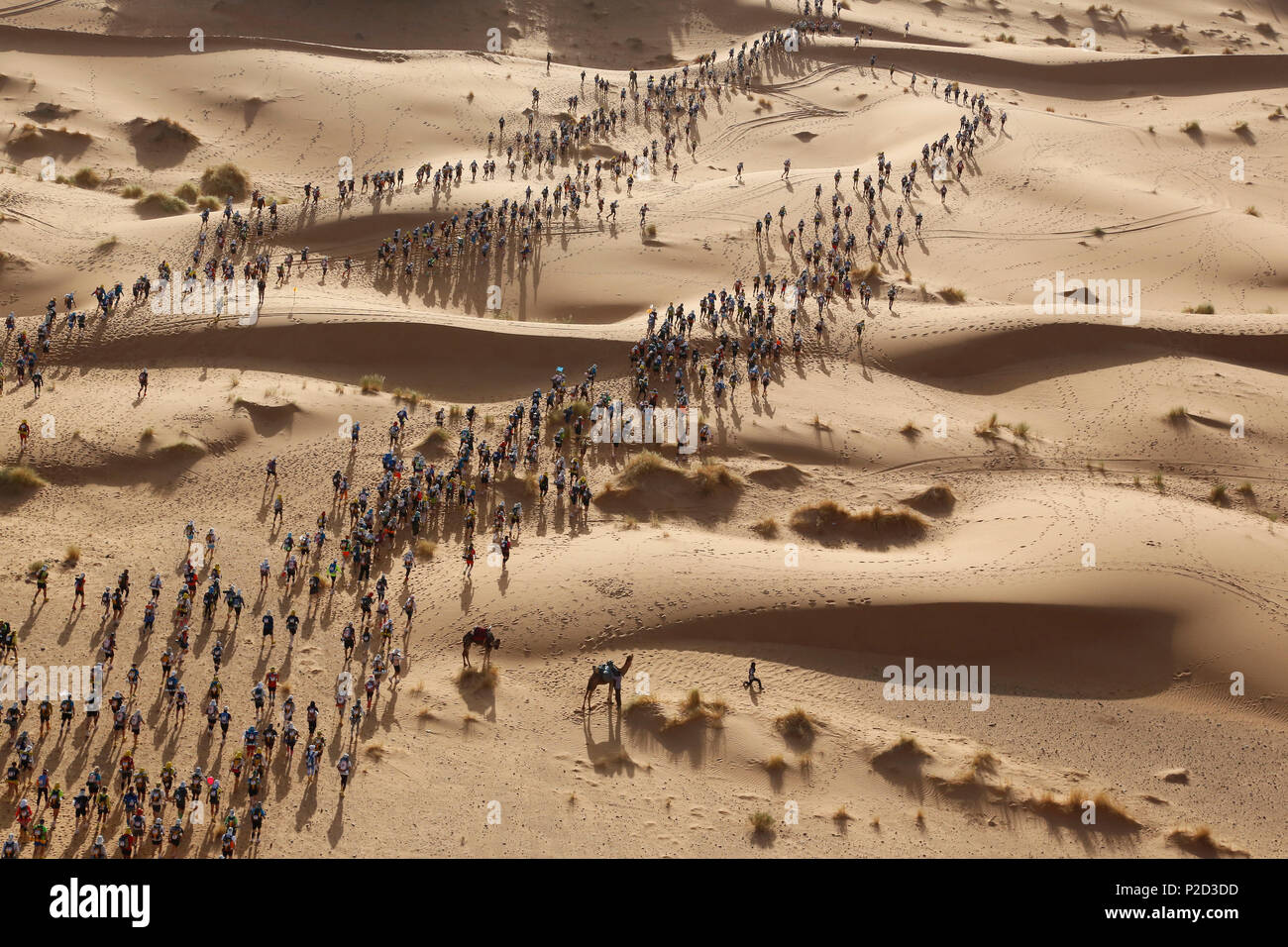 Sahara marathon hi-res stock photography and images - Alamy