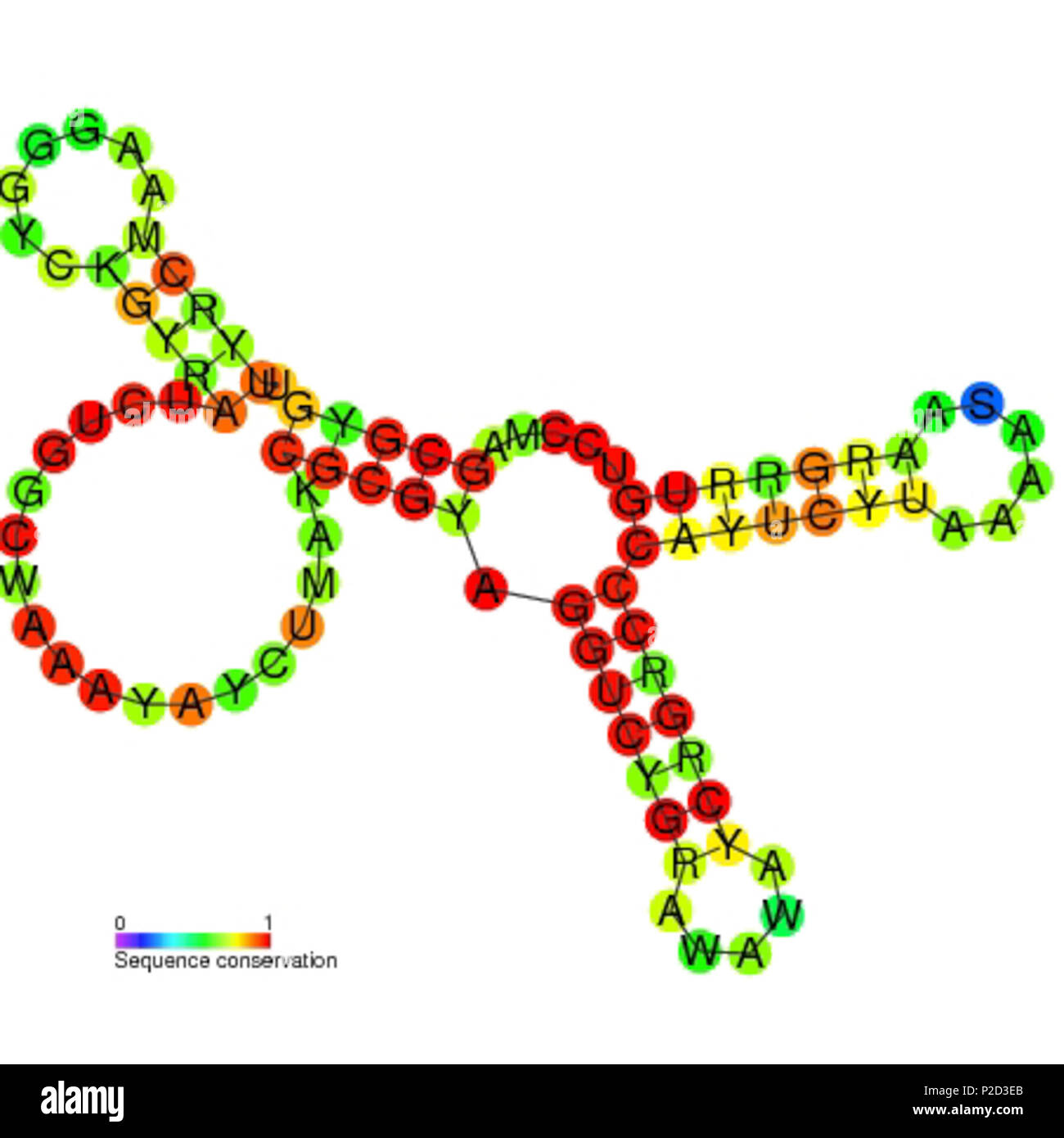 Secondary Structure Image For Atpc Non Coding Rna Rf01067 Nucleotide Colouring Indicates 1297