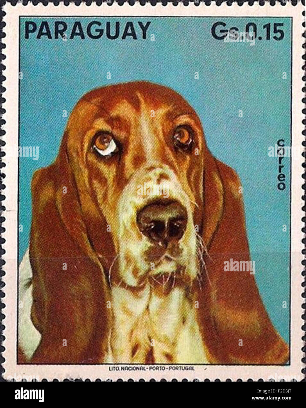 7 June 1975. Stamp of Paraguai 6 Basset-Hound-Canis-lupus-famili