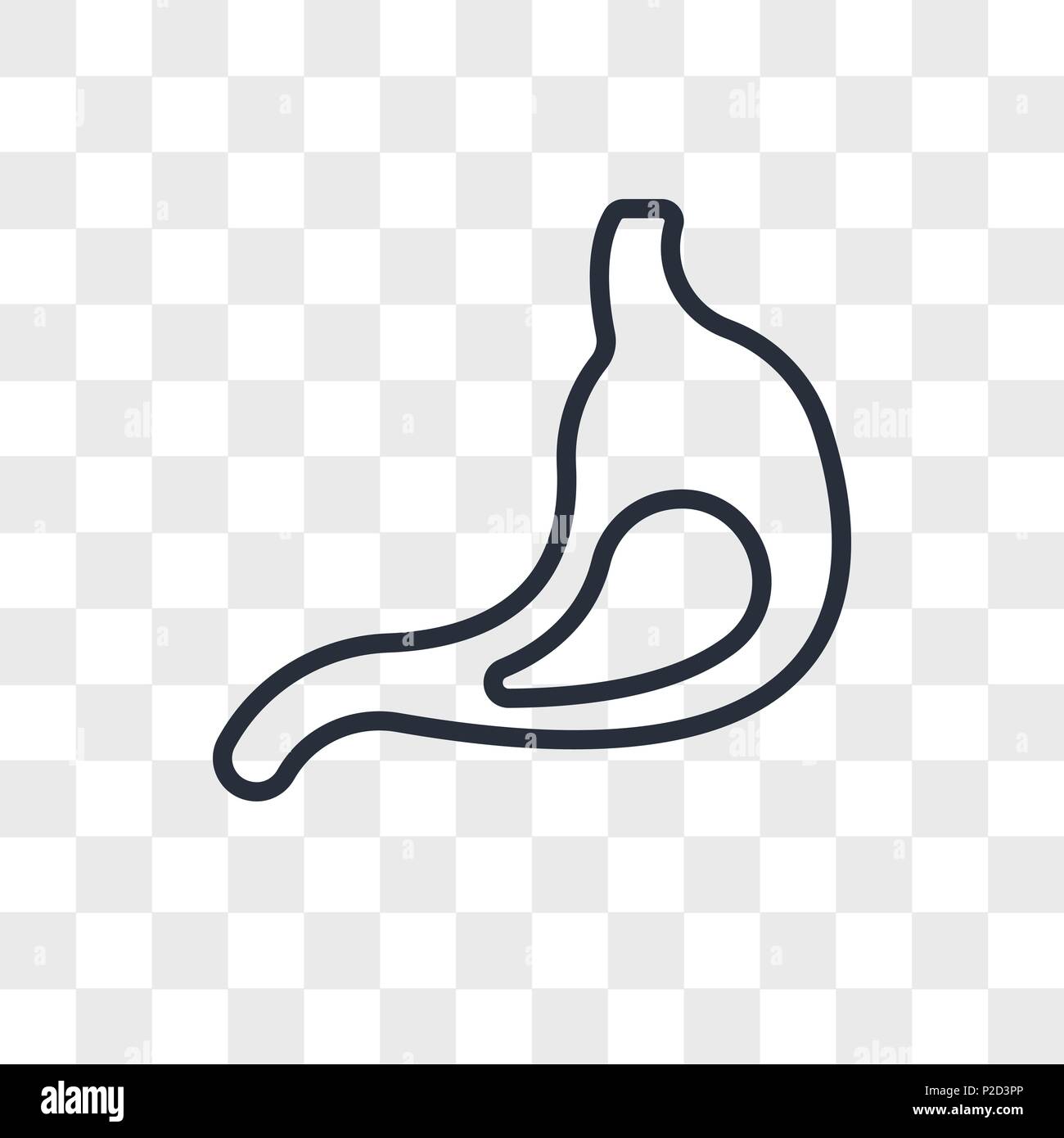 gastroenterology vector icon isolated on transparent background ...