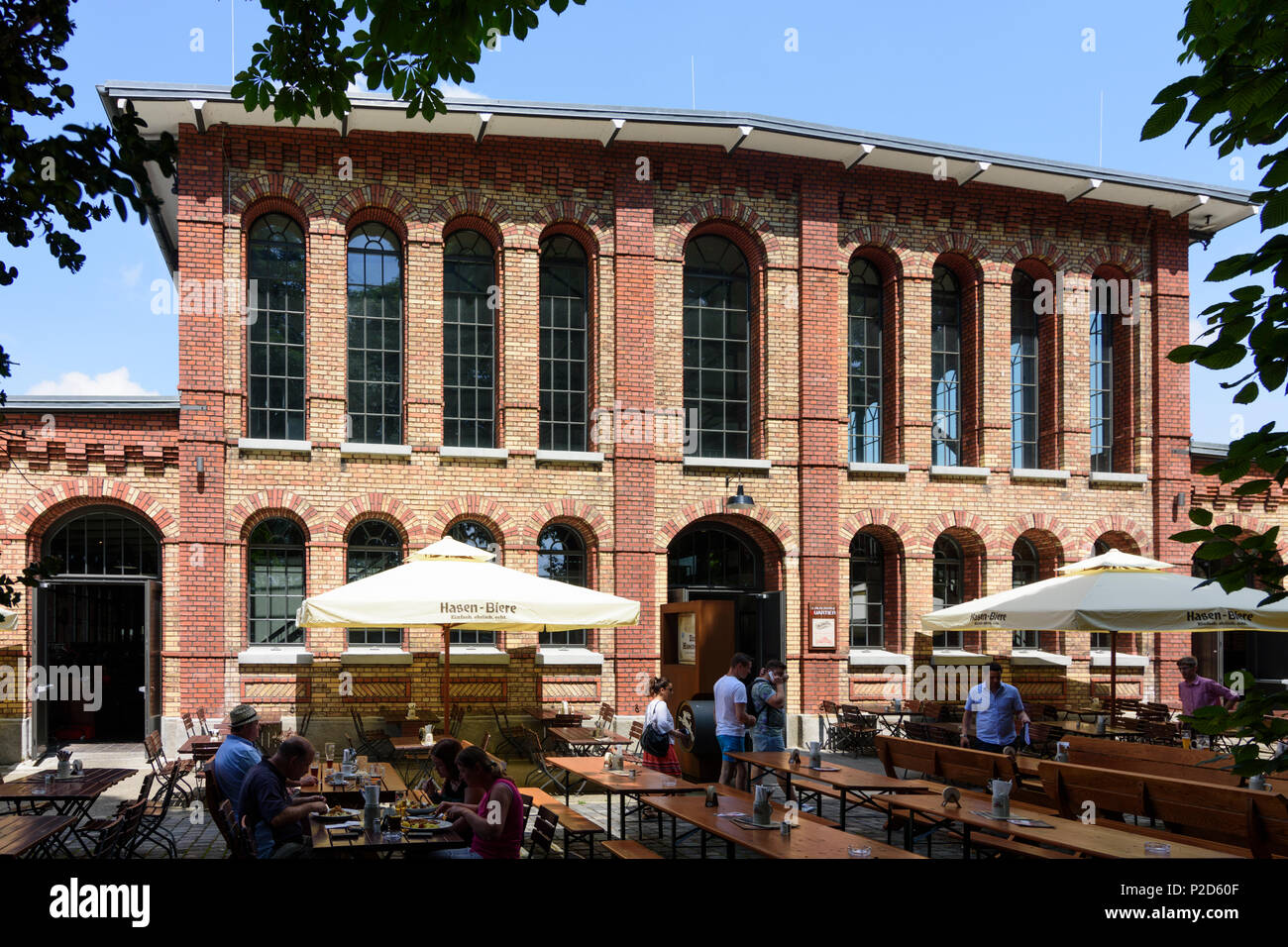 Hasen brau hi-res stock photography and images - Alamy