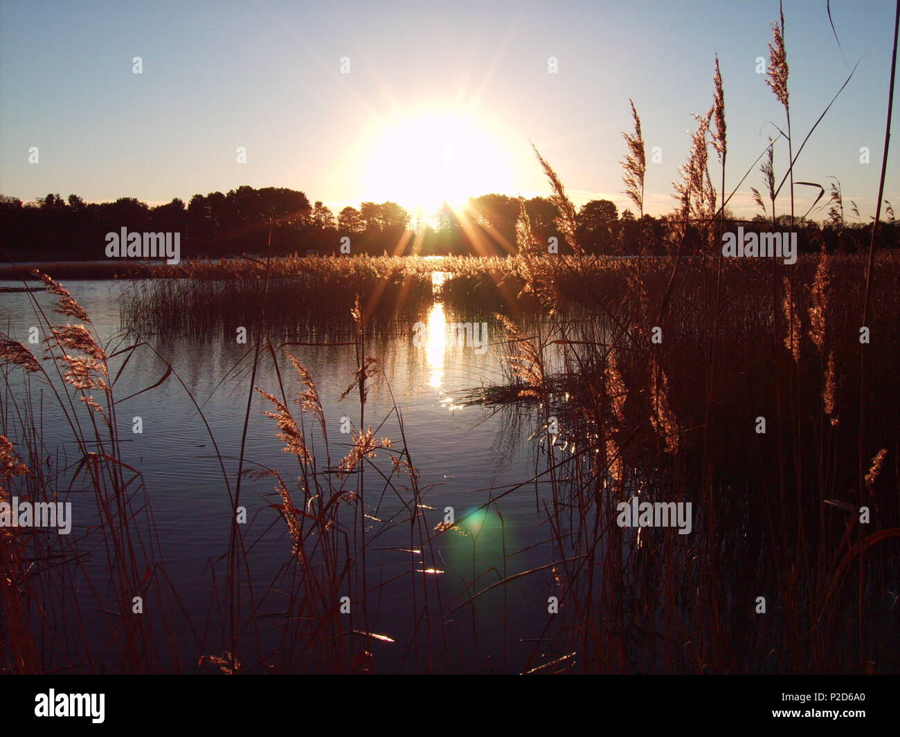 Gropa hi-res stock photography and images - Alamy