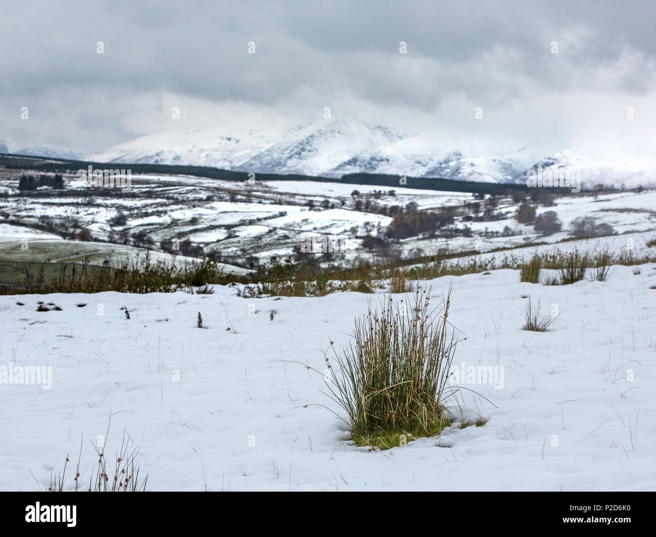 English winter hi-res stock photography and images - Alamy