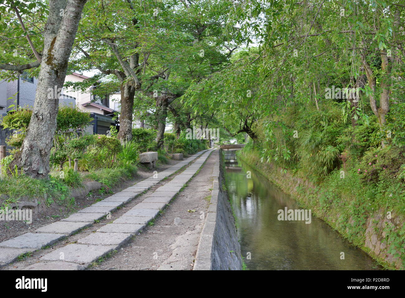 Philosopher's path in late spring. Kyoto. Japan Stock Photo - Alamy