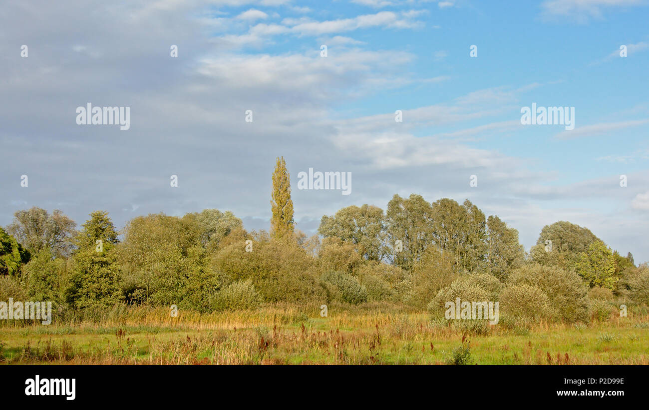 Marshlandscape hi-res stock photography and images - Alamy