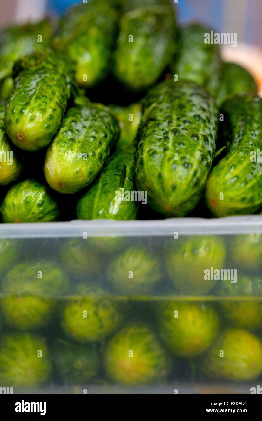 Russia, Moscow, pickles Stock Photo - Alamy