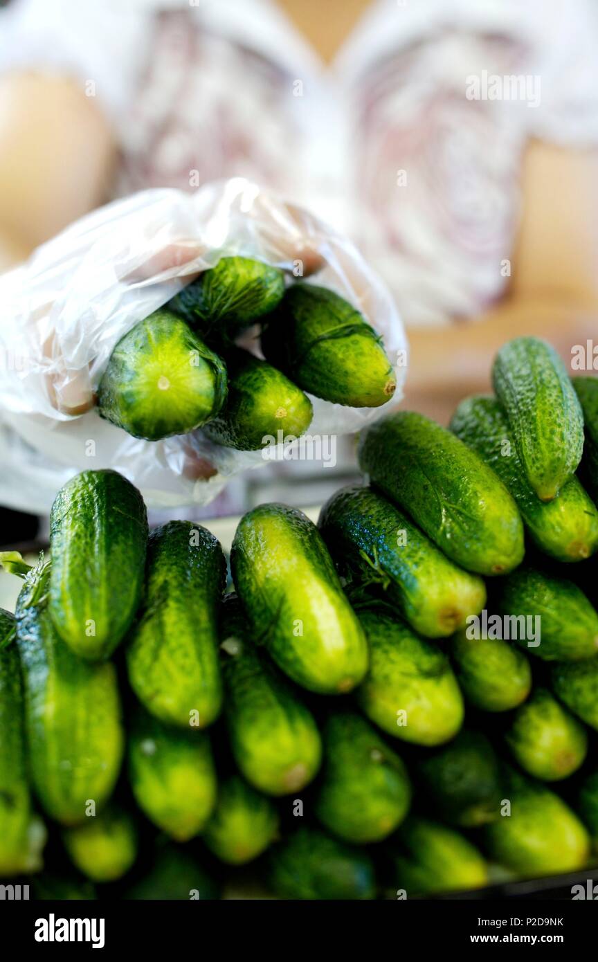 Russia, Moscow, Russian style pickle sales Stock Photo - Alamy