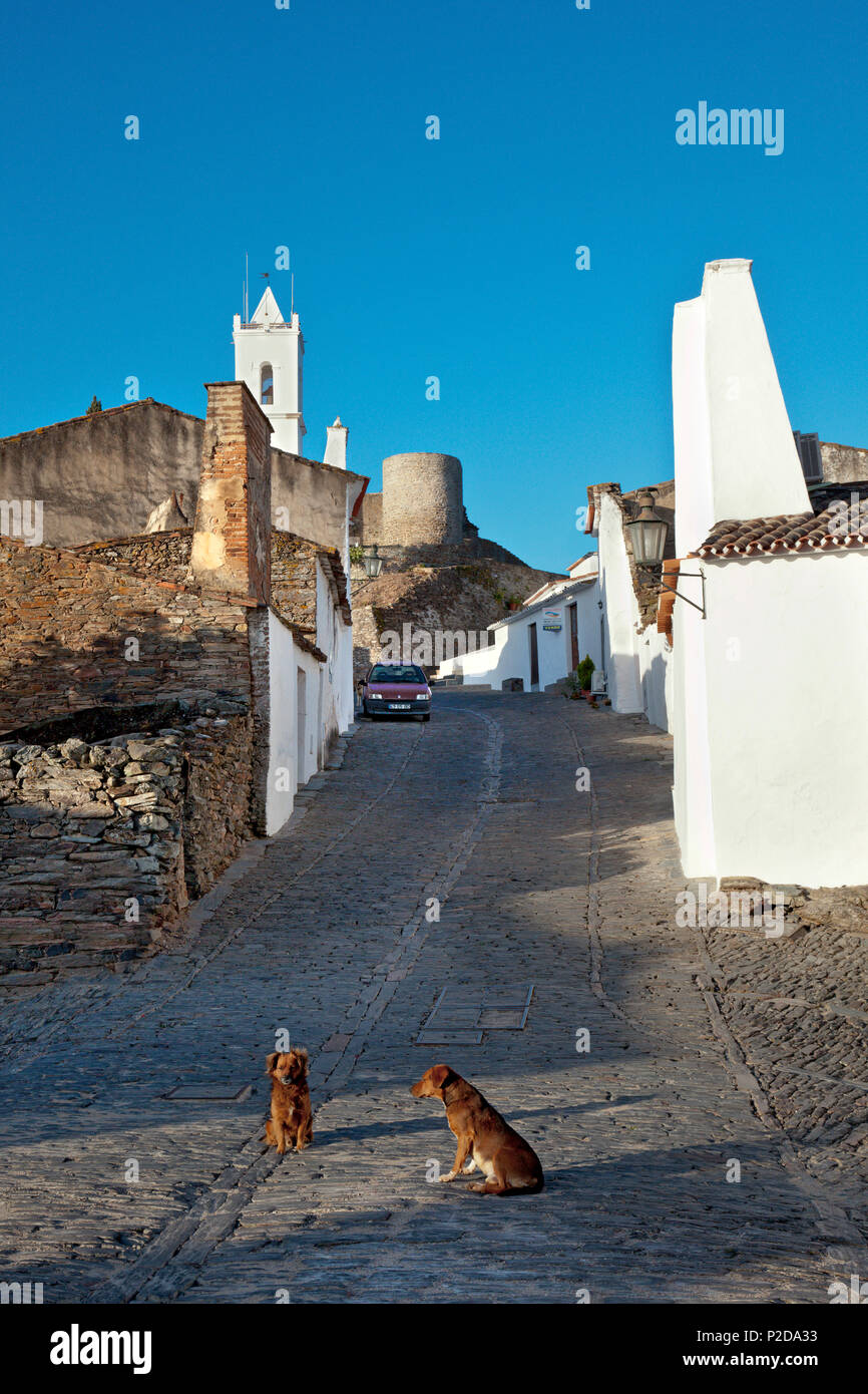 Sl dogs hi-res stock photography and images - Alamy