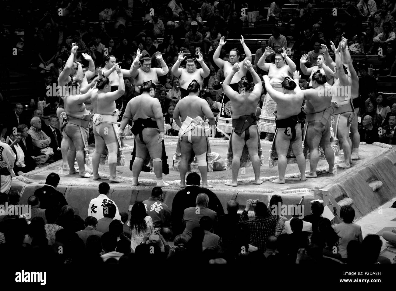 Japan, Honshu island, Kanto region, Tokyo, sumo atmosphere Stock Photo ...
