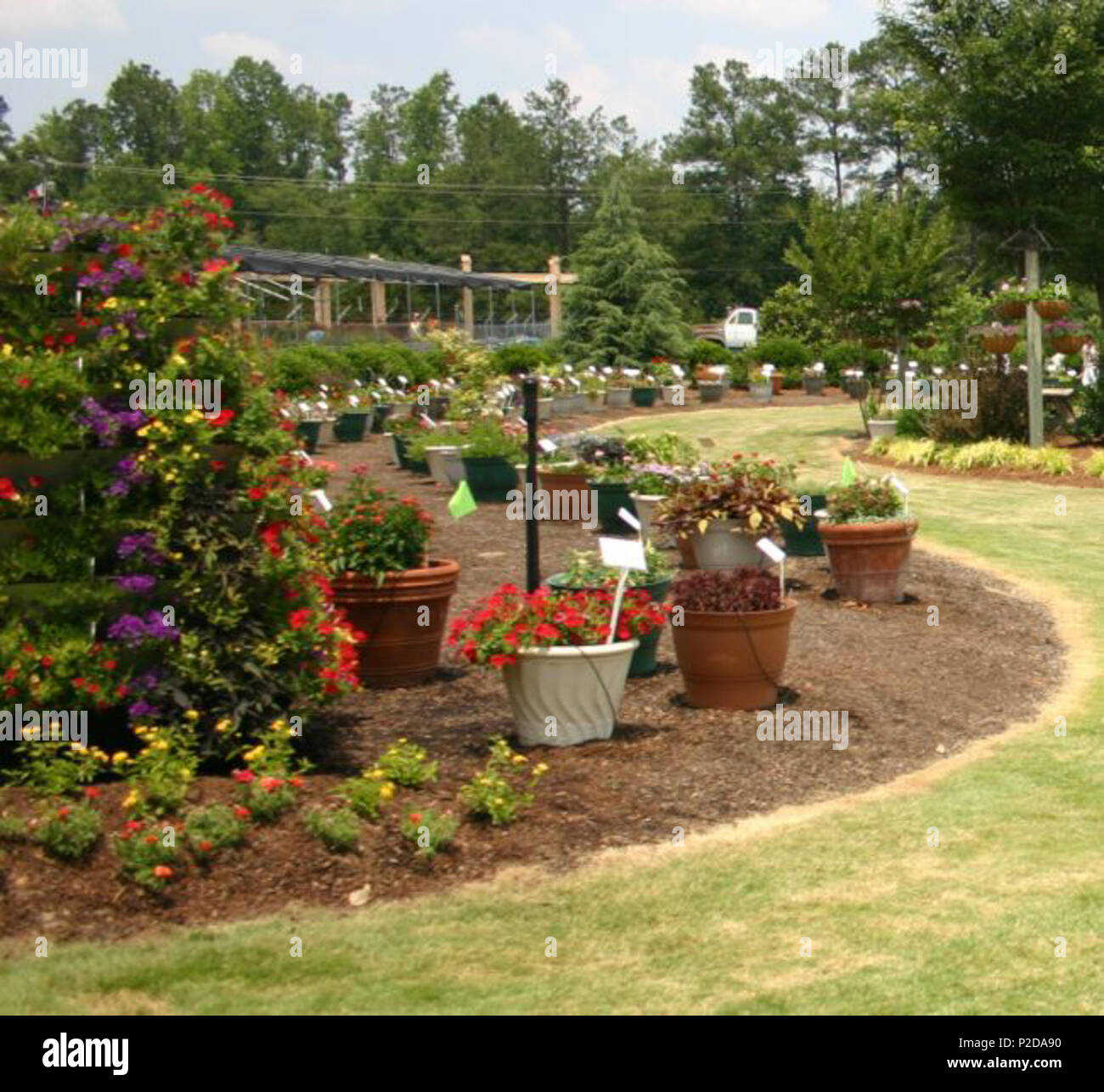 . Partial view of container garden in Park Seed Company Gardens . 17 ...