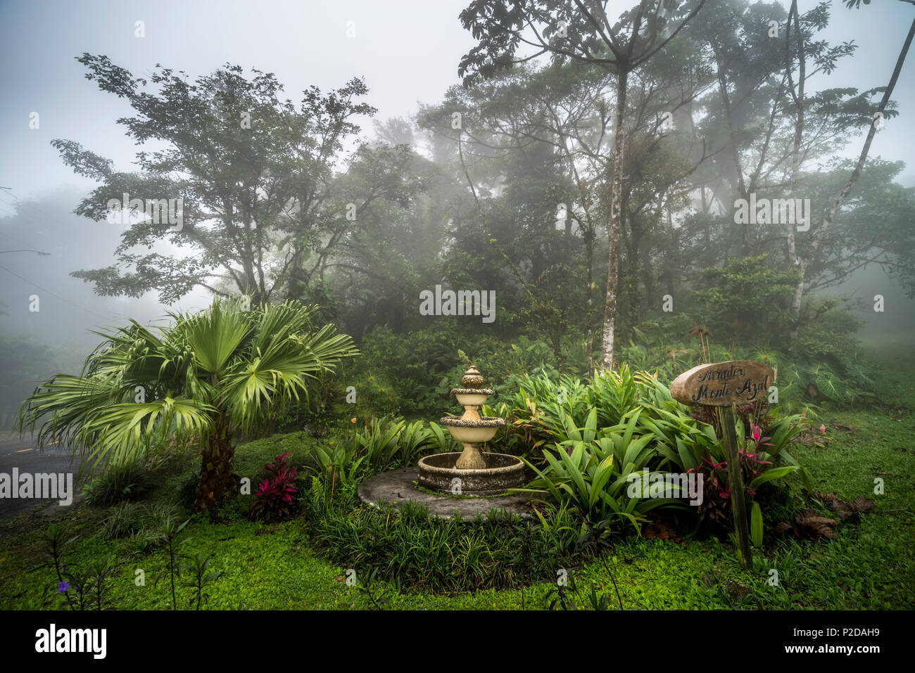 Cloud forest altos del hi-res stock photography and images - Alamy